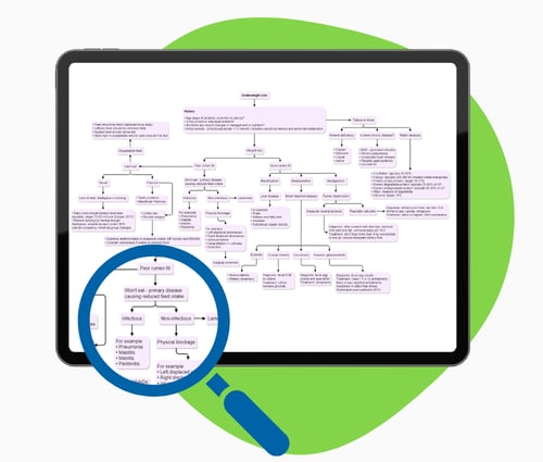Vetlexicon How It Works